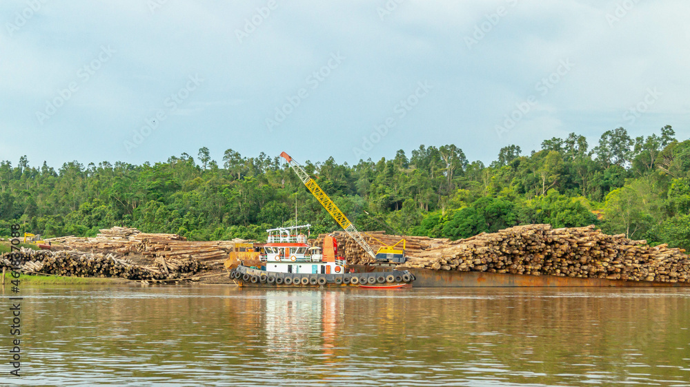 Timber loaded into big barge then drag by a tugboat cruising Mahakam ...