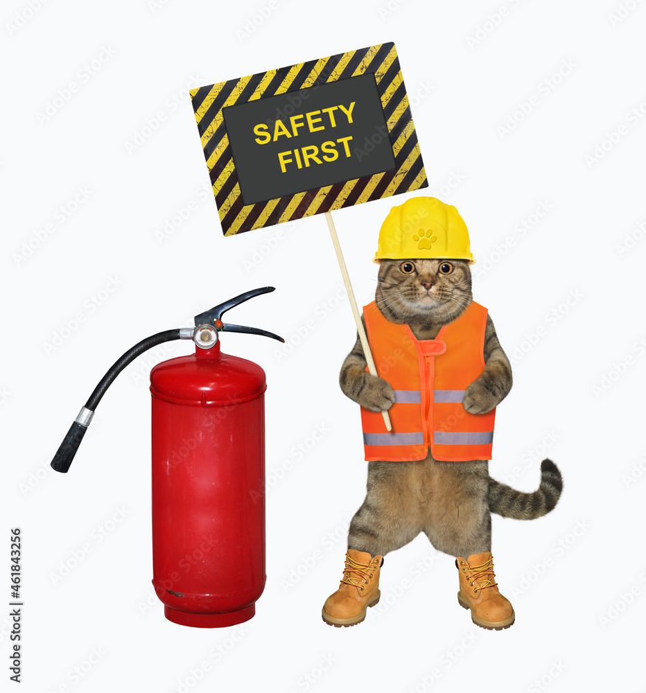 A beige cat in a construction helmet holds a fire extinguisher and a ...