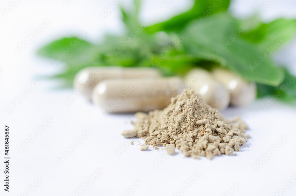 Closed up green Thai herb powder with blur capsule and green herb leaf ...