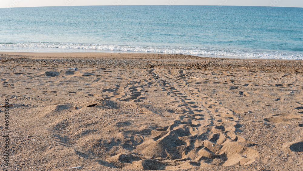 Sea turtle's trail on the beach. The trail of Caretta Caretta on the ...