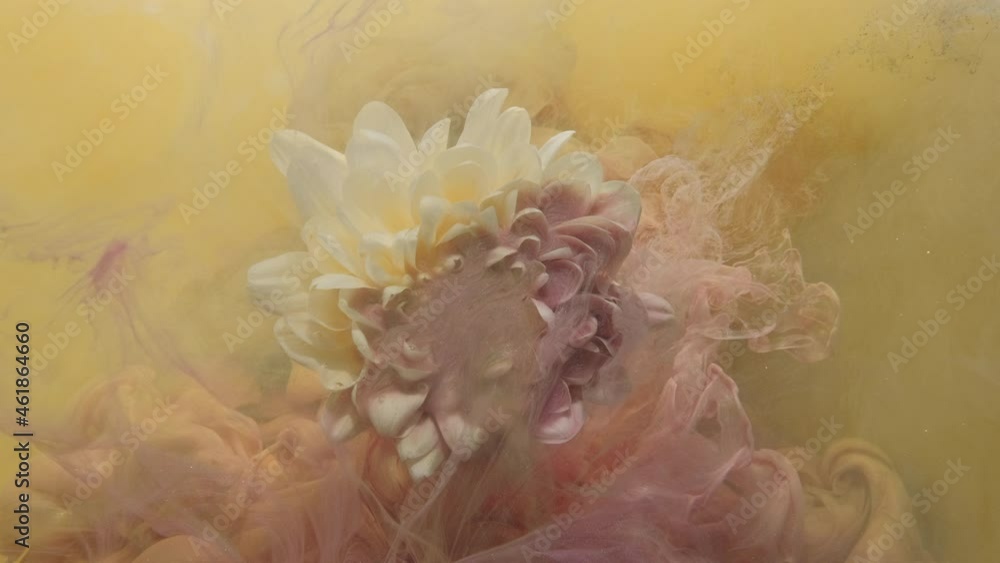 Flower under water. Ink drop. Petals in color vapor. Fantasy blossom ...