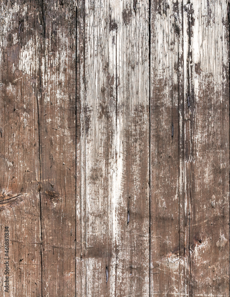 Vertical wooden planks Stock Photo | Adobe Stock