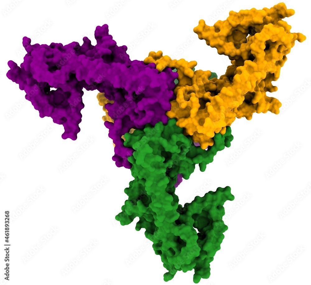 Piezo type mechanosensitive ion channel component 1 (PIEZO1) Stock Illustration | Adobe Stock