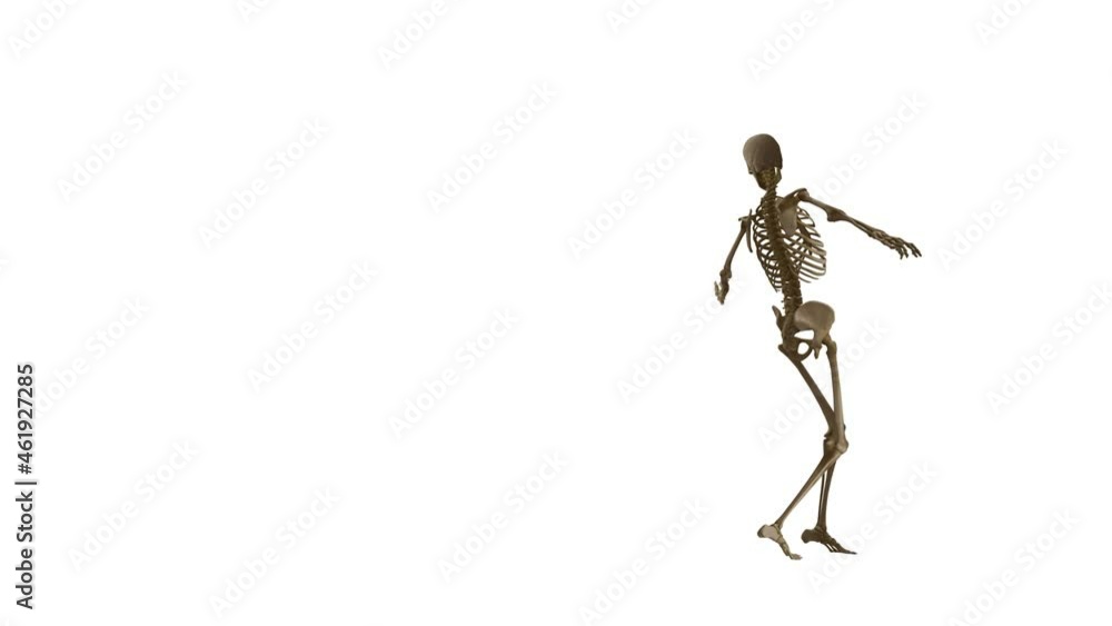 Skeleton Dance Hd. Looped. Alpha channel included. Stock Video | Adobe ...