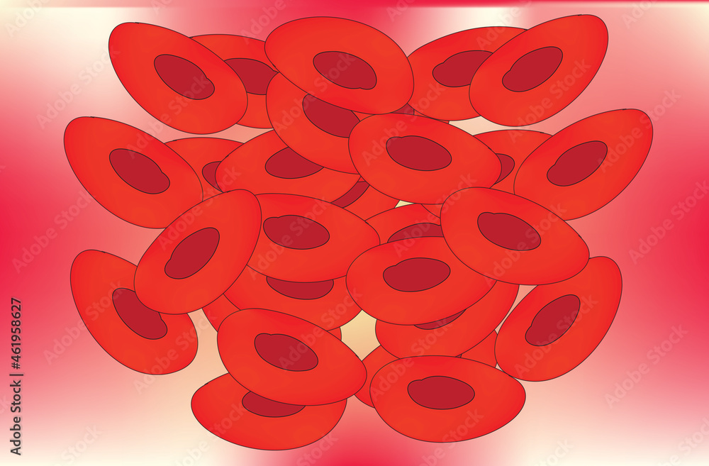 Cluster of red blood cells gathering each other in blood clot Stock ...