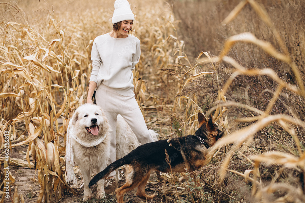 Beautiful woman walking out her dog in a field Stock Photo | Adobe Stock