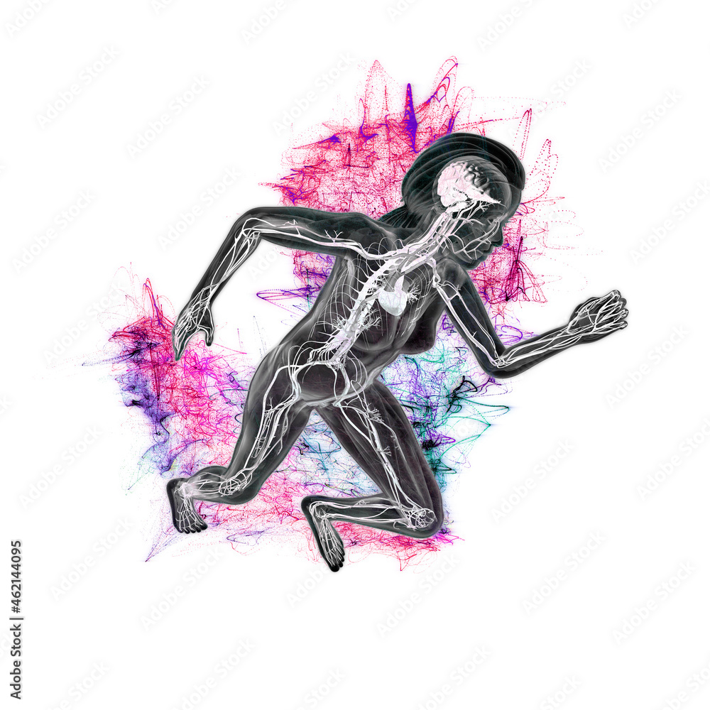 Anatomy, x-ray of a female body with dynamic glowing energy stripes ...