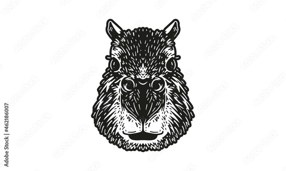 capybara logo on white background Stock Vector | Adobe Stock