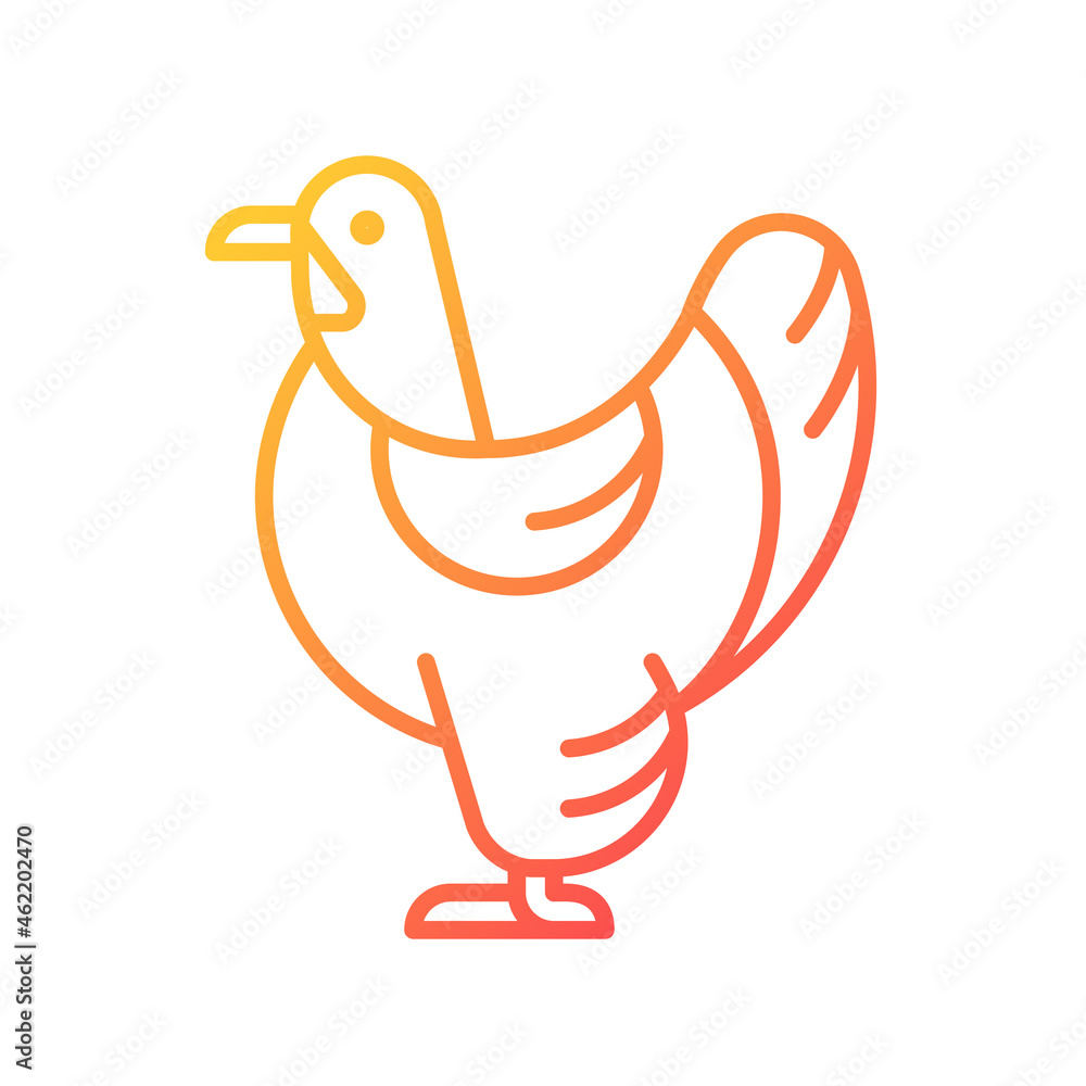 Brahma hen gradient linear vector icon. American chicken breed. Raising ...