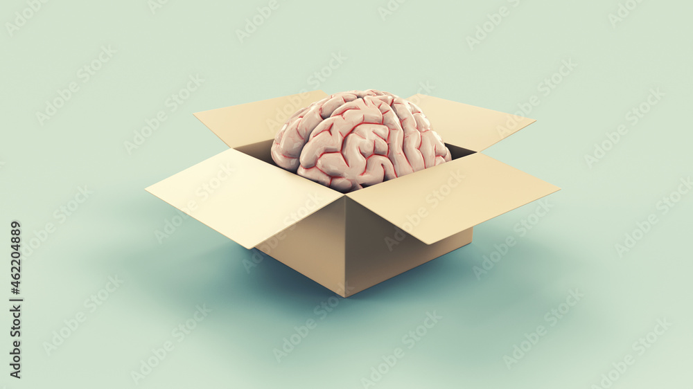 Human brain inside a box . Think outside the box and self development ...