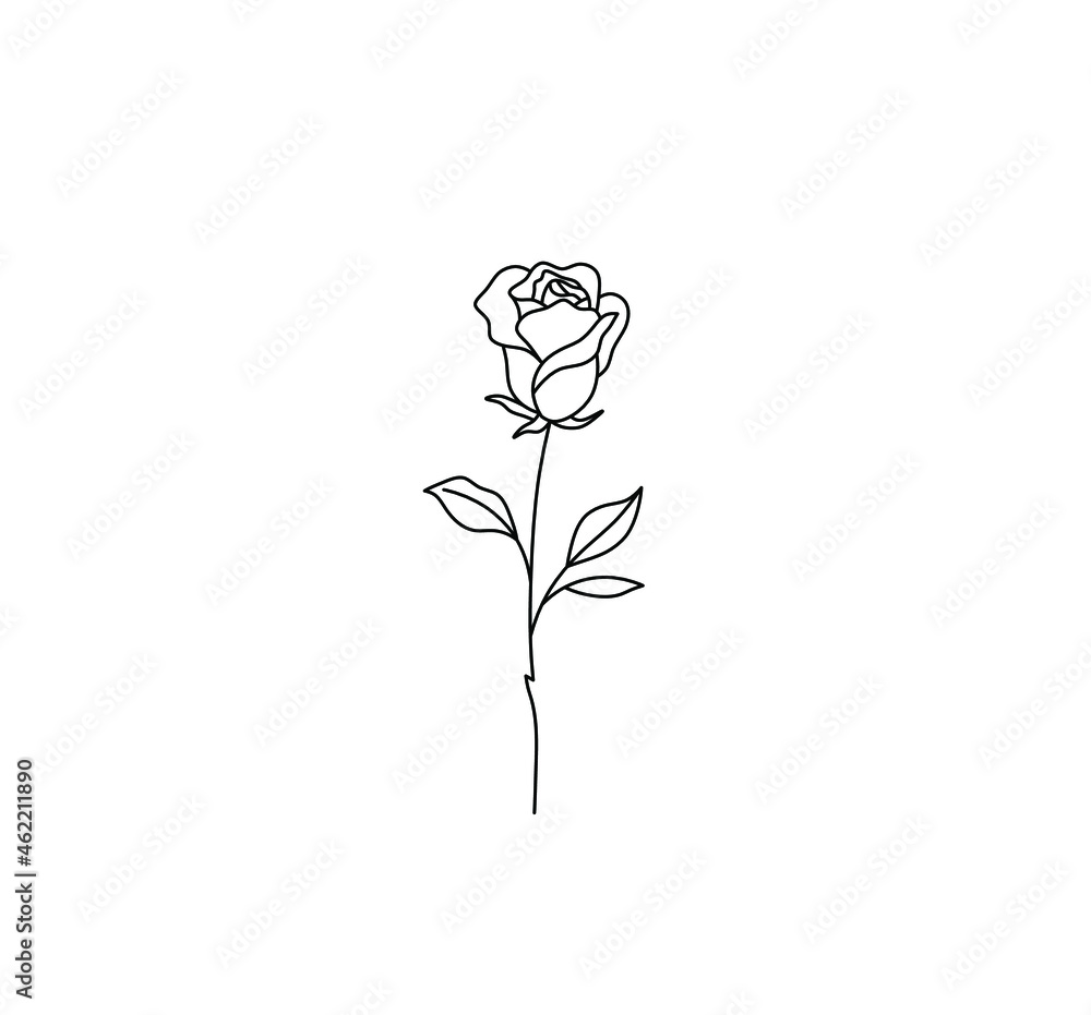 Vector isolated rose line drawing. Simple minimal contour rose drawing ...