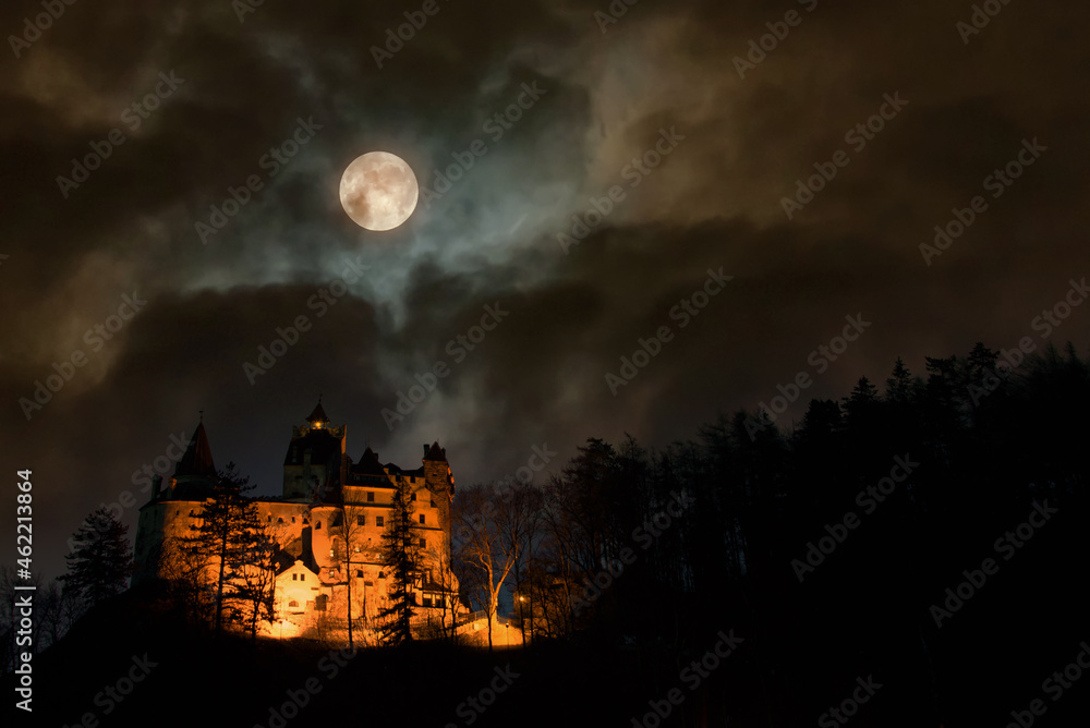 Bran Castle At Night