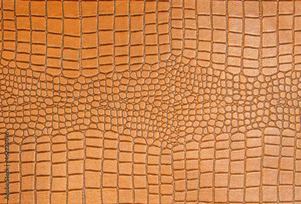 Crocodile skin texture for background or design Stock Photo | Adobe Stock