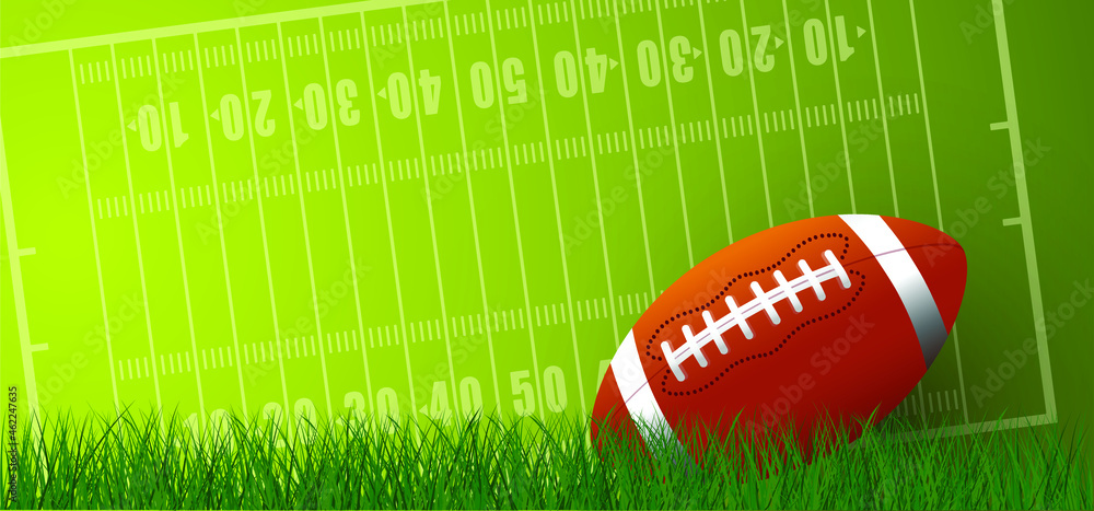 Funny Sports Pictures American Football