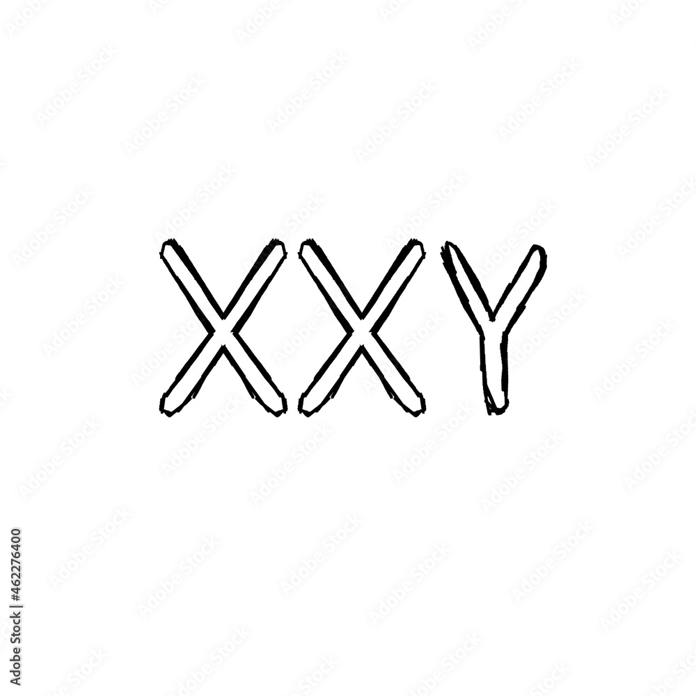 xxy karyotype (sketch) Stock Illustration | Adobe Stock