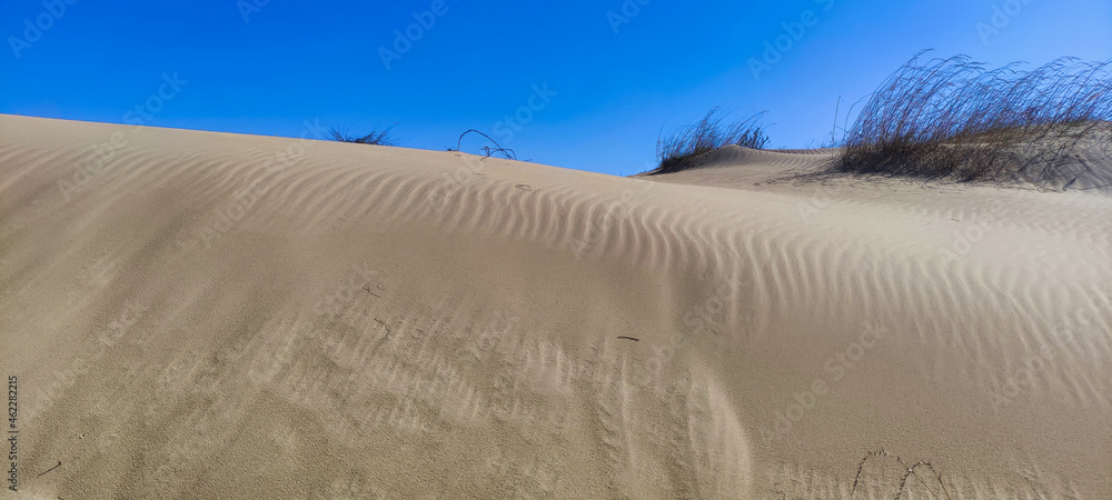 View of the sandy massif in Oleshkovsky Sands. Desert panorama with ...