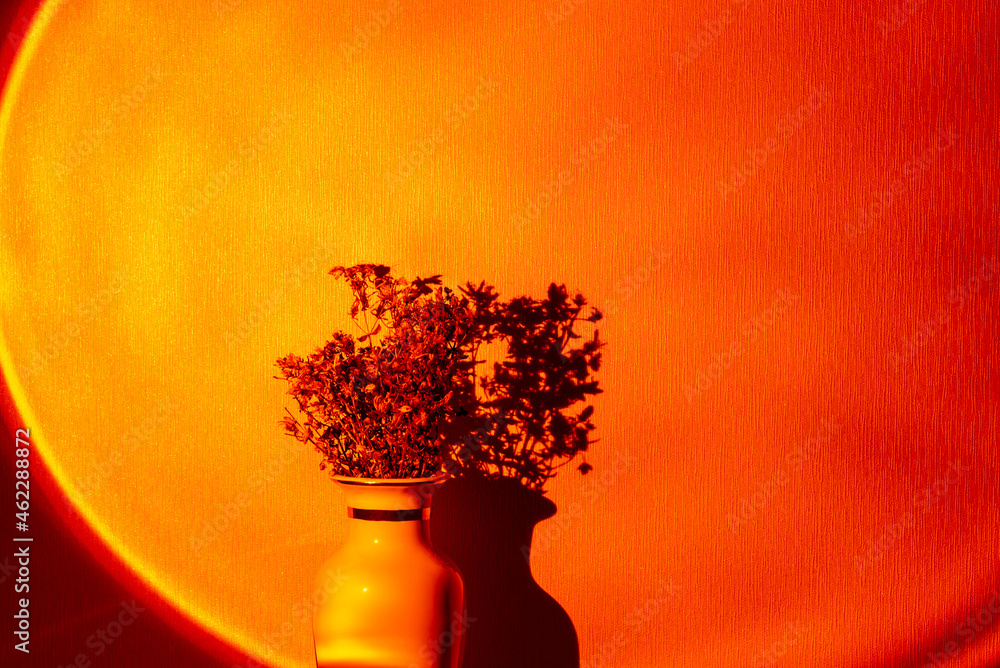 Dry flower twigs in ceramic vase with dark shadow behind illuminated by ...