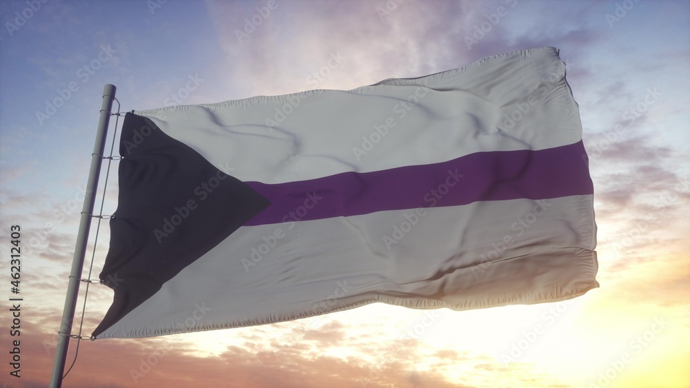 Demisexual pride flag waving in the wind, sky and sun background. 3d ...