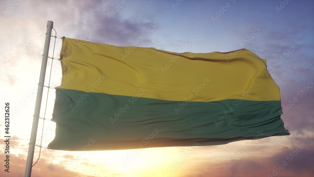 Flag of The Hague, city of Netherlands waving in the wind, sky and sun ...