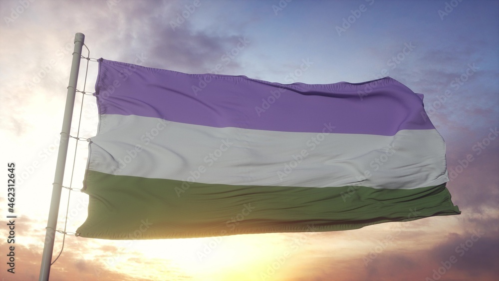 Genderqueer pride flag waving in the wind, sky and sun background. 3d ...