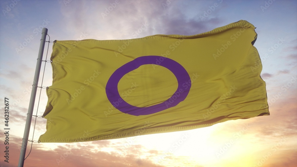 ภาพประกอบสต็อก Intersex pride flag waving in the wind, sky and sun ...