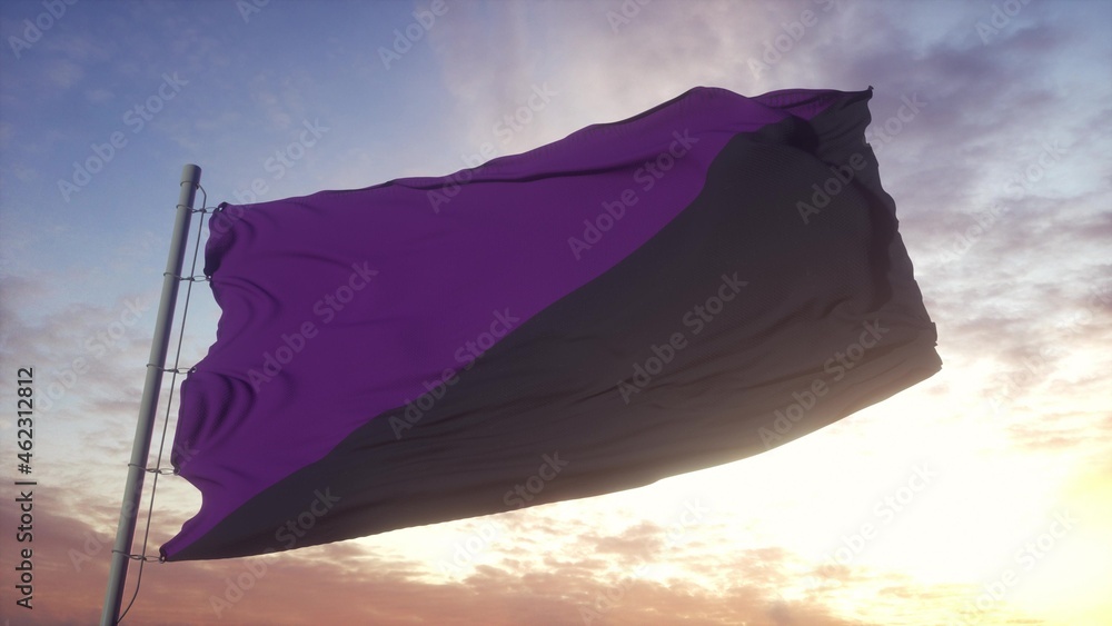 Anarcha feminism flag waving in the wind, sky and sun background. 3d ...