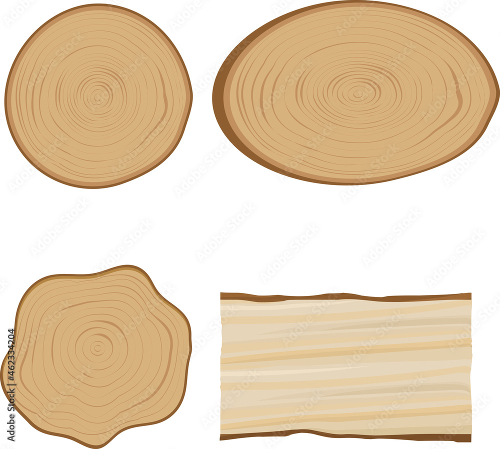 Vector illustration of a cross section of a tree. Frame material for ...