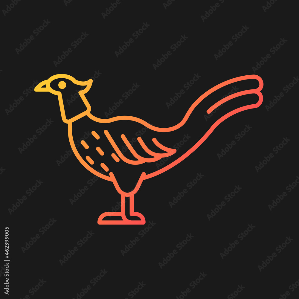 Male pheasant gradient vector icon for dark theme. Commercial poultry ...