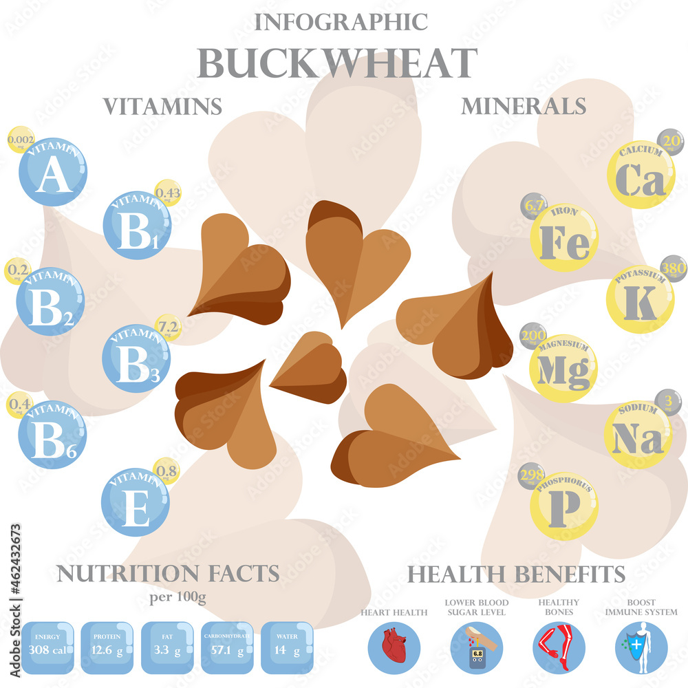 Buckwheat nutrition facts and health benefits infographic Stock Vector ...