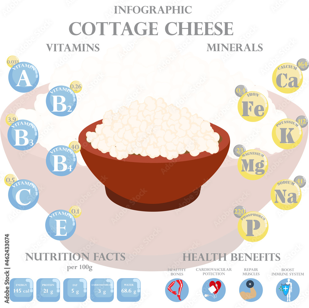 Cottage cheese nutrition facts and health benefits infographic Stock ...