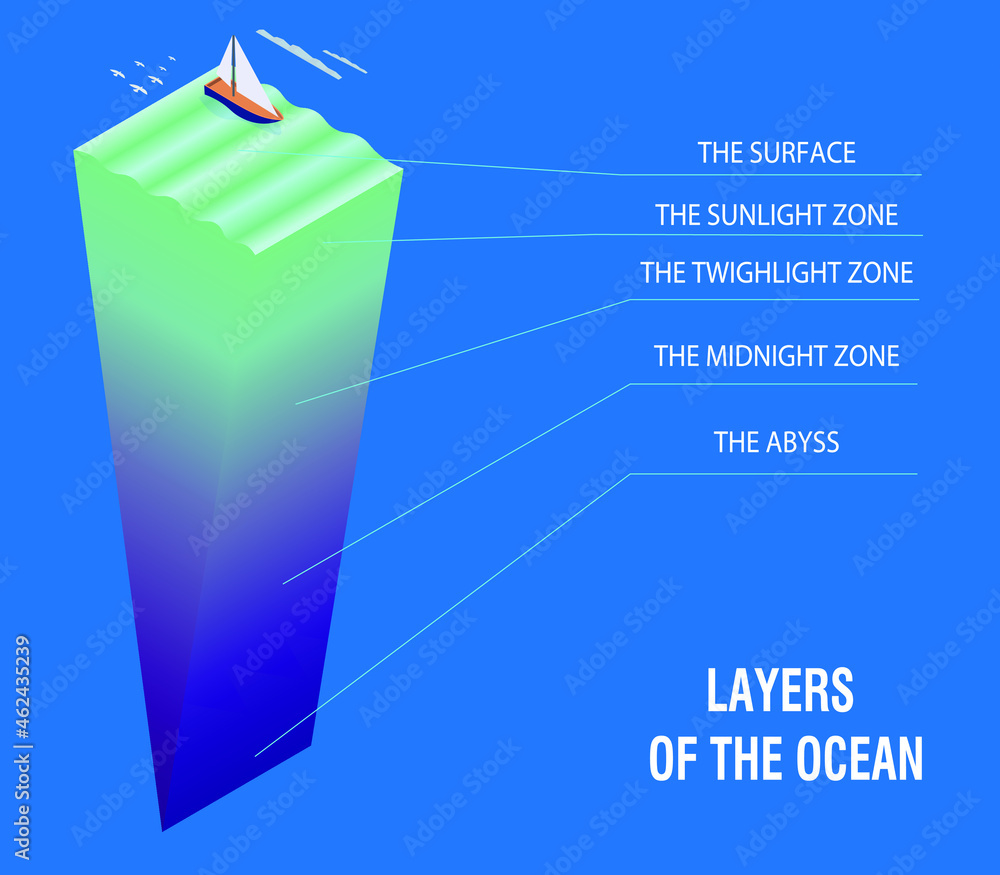 Layers of the ocean, cross section. Vector illustration. Ocean ...
