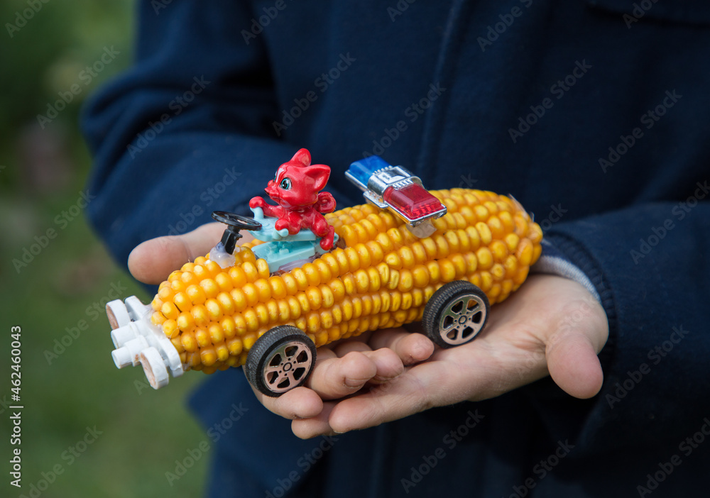 child holds in his hands a children's car made of dry yellow corn ...