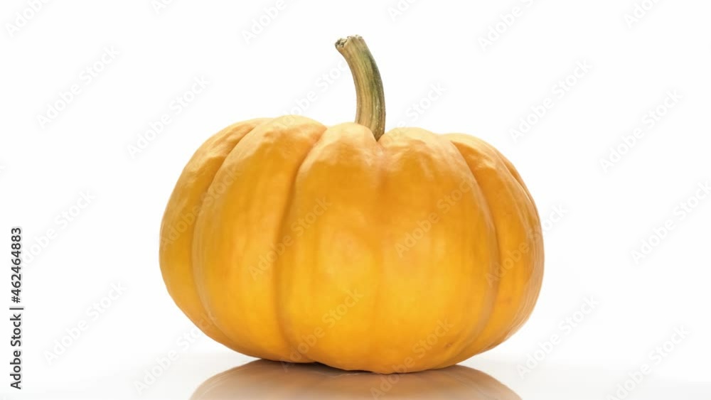 Close up footage of a ripe yellow pumpkin from farm on the rotating ...