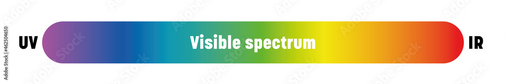 Visible spectrum of light. Electromagnetic spectrum visible by human ...