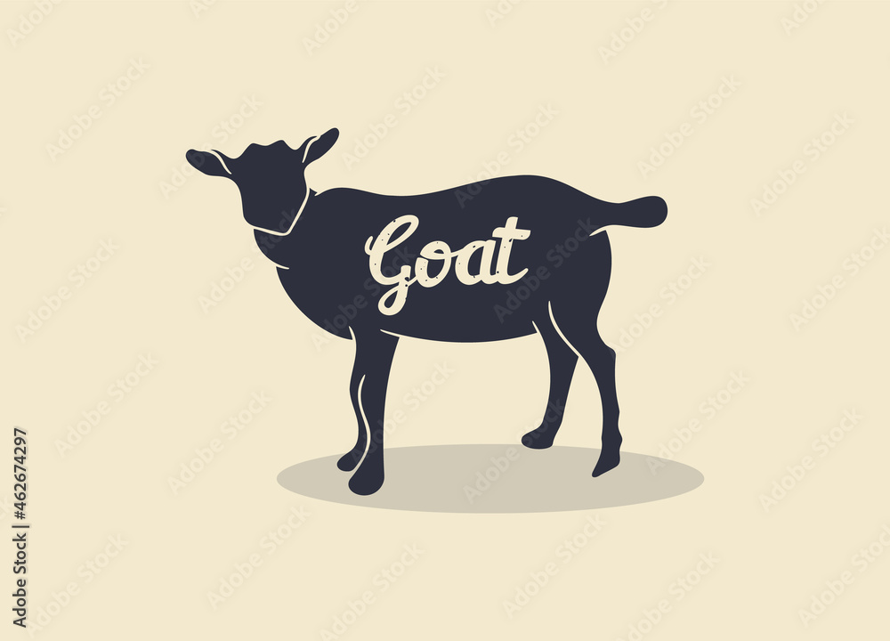 Little Baby Goat Cartoon vector illustration Isolated on White ...