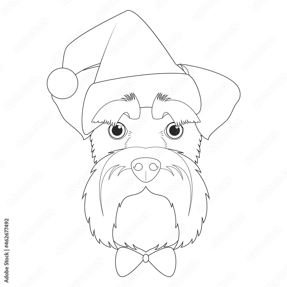 Christmas greeting card for coloring. Schnauzer dog with Santa's hat ...