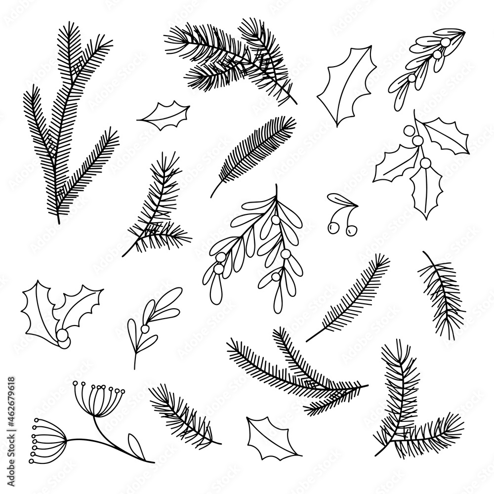 vector drawing in the style of doodle. branches of firs, fir-trees ...