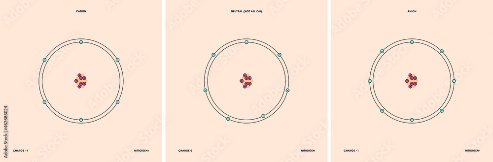 Conceptual vector representation of a nitrogen atom and its ions: a ...