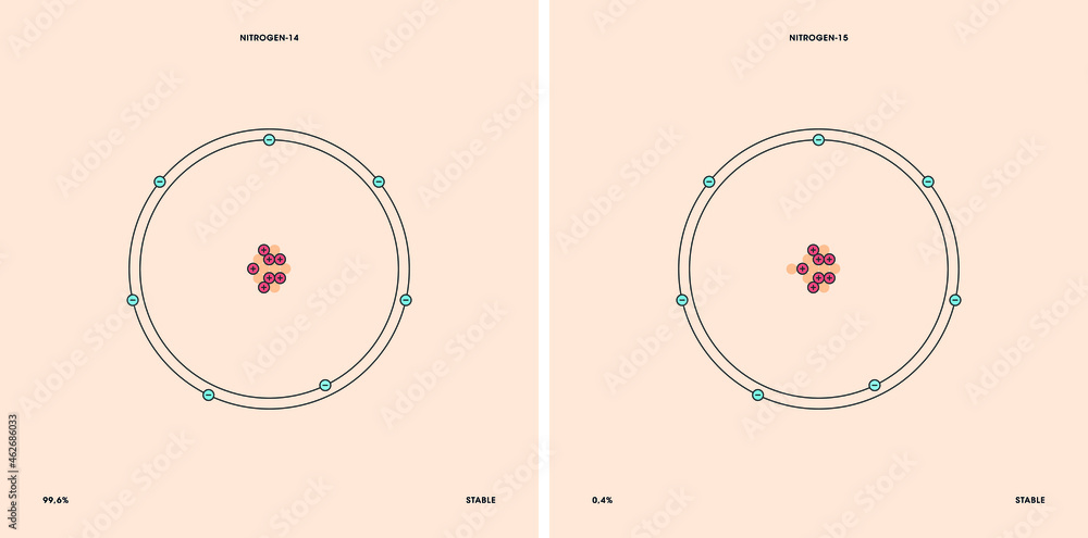 Conceptual vector representation of a nitrogen atom and its natural ...