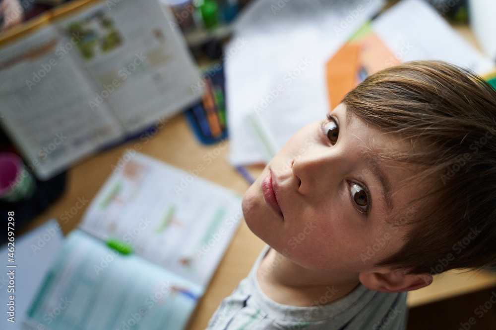Portrait of boy doing homework Stock Photo | Adobe Stock