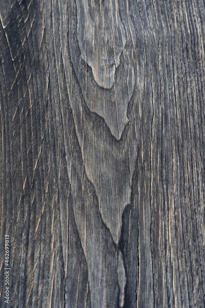 Wood surface, Teak wood, Tectona grandis, full frame Stock Photo ...