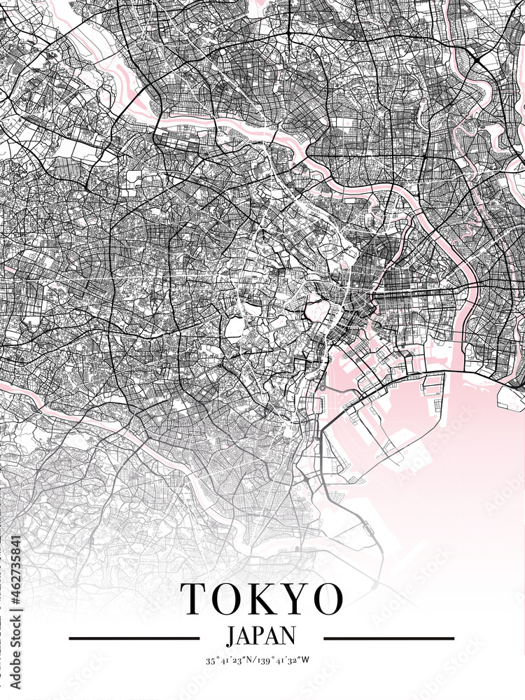 Tokyo city map poster print. Detailed map of Tokyo (Japan). Stock ...
