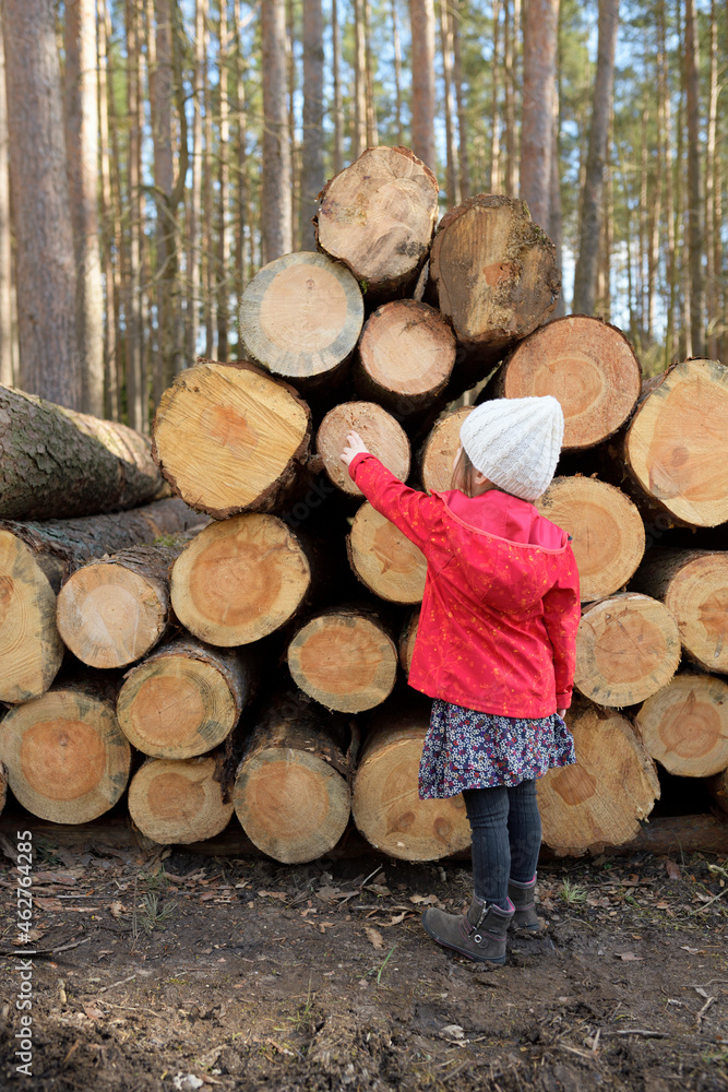 Back view of little girl standing in front of stack of wood in the ...