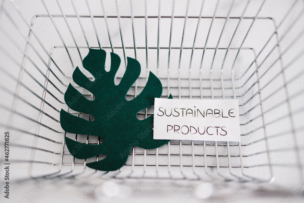 environmental awareness and consumer behaviour concept, Sustainable ...