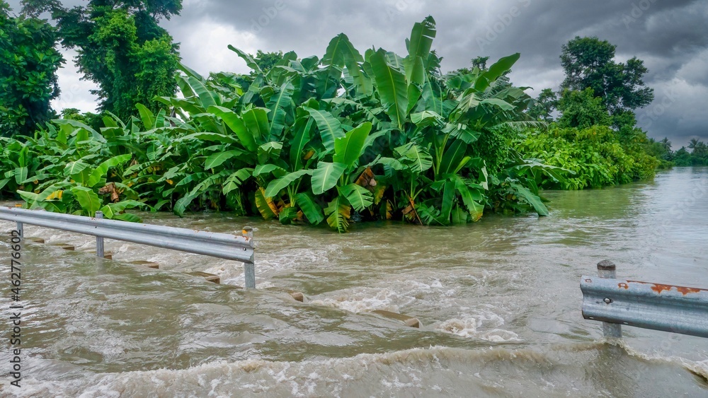 Póster Floodwater on a highway pouring into a banana plantation and an ...