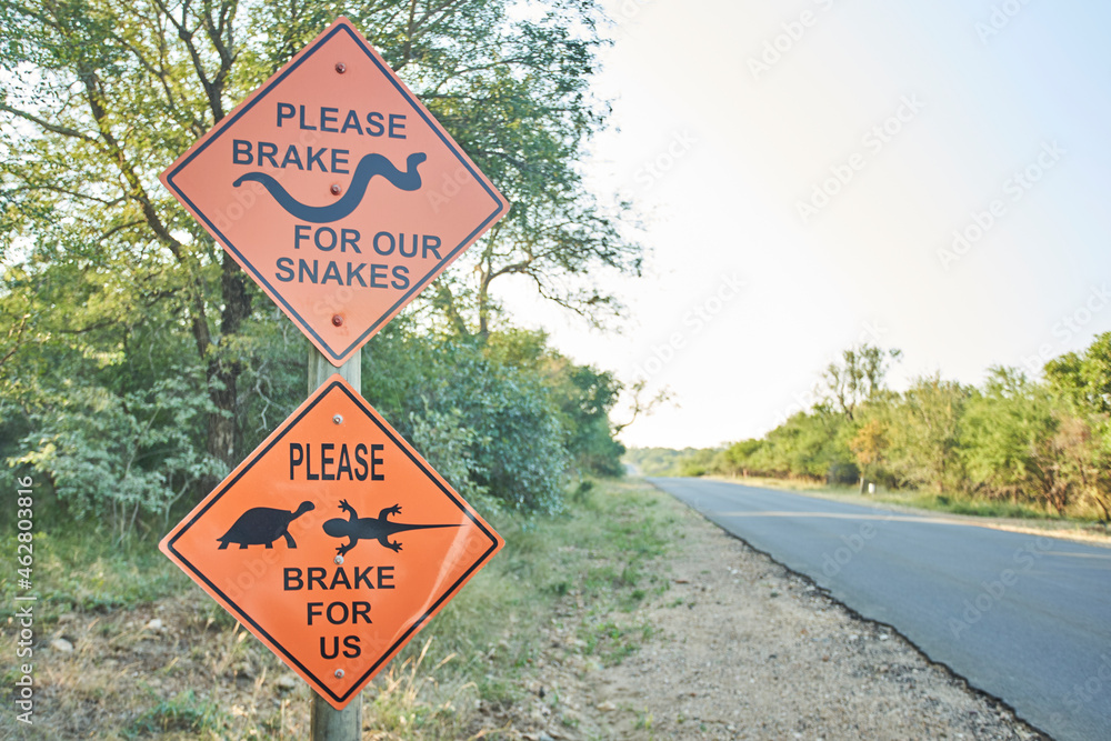 Foto de Beware of snakes, turtles and lizards sign at the roadside ...