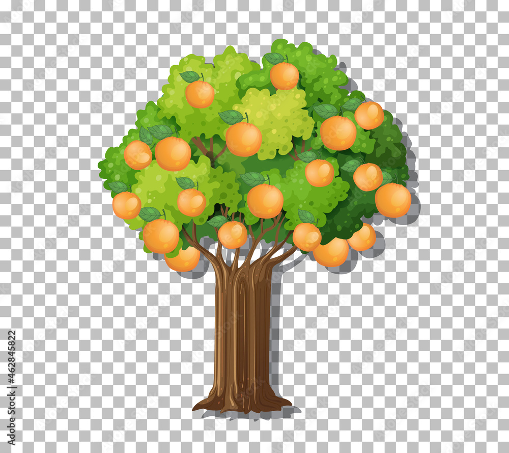Orange tree on transparent background Stock Vector | Adobe Stock