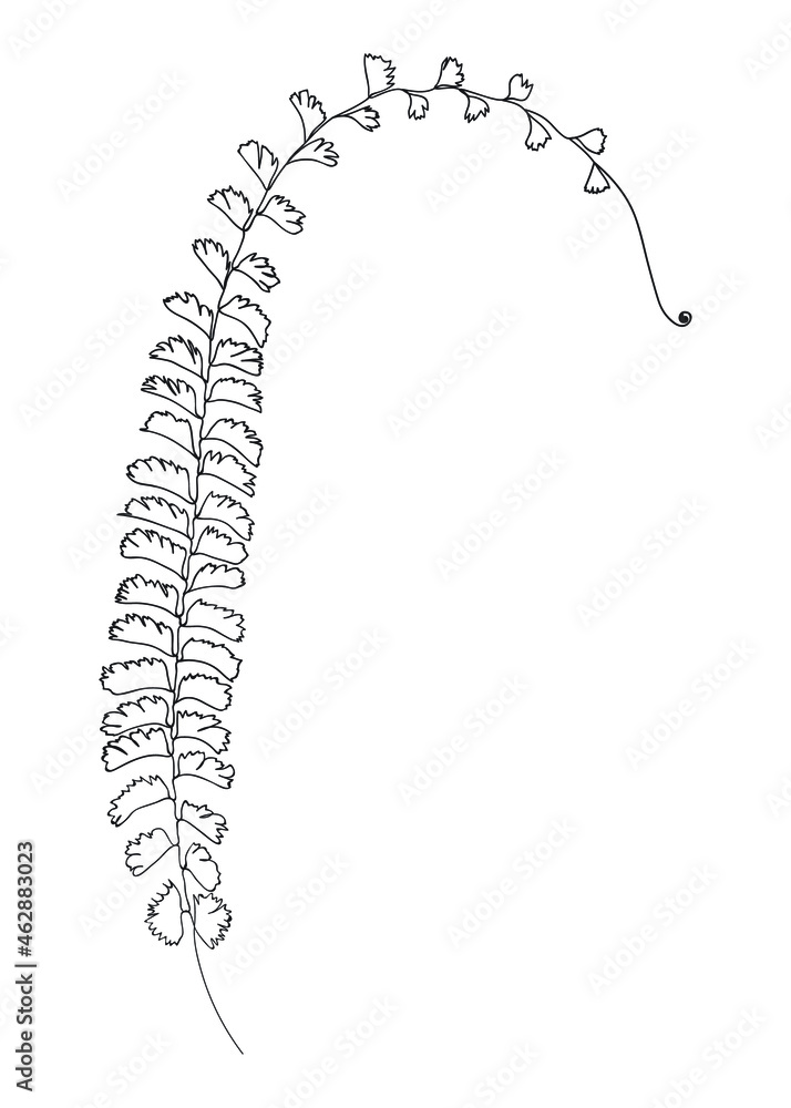 Fern leaves continuous line drawing. One line. Minimalism art. Modern ...
