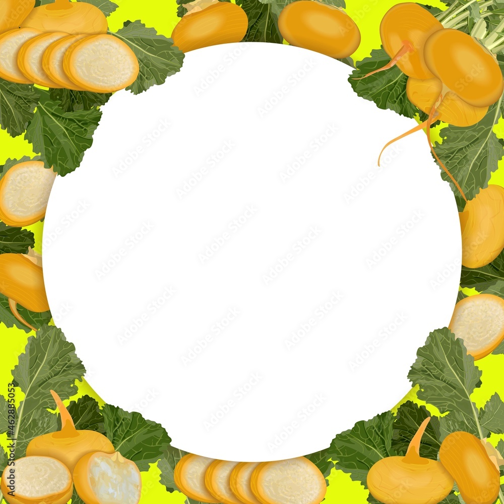 Banner with whole and sliced, half of orange turnips. Yellow turnip ...