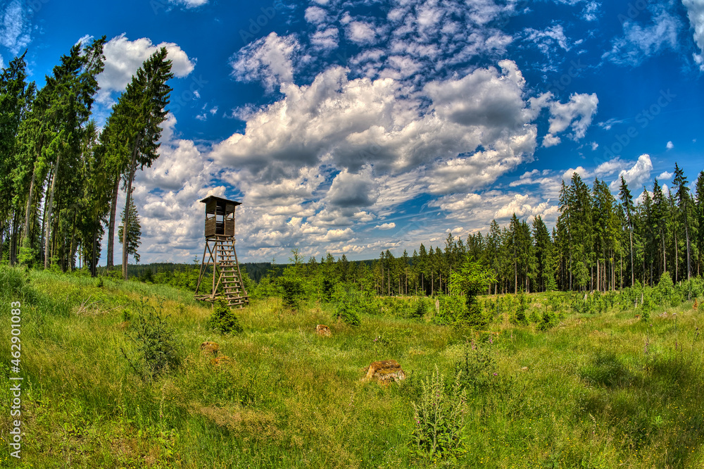 Hunting tower isolated in the green forest with spruce trees under a ...